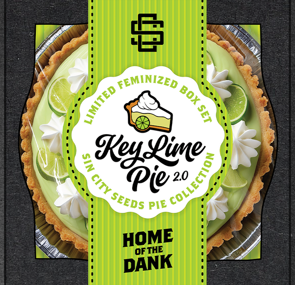 Key Lime Pie 2.0 Feminized Box Set – sincityseeds.shop