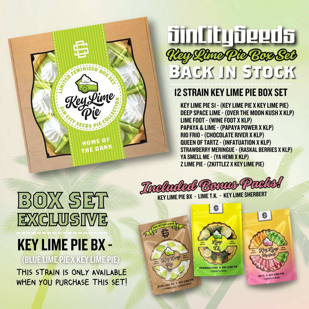 sincityseeds.shop