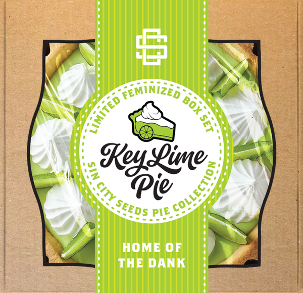 Key Lime Pie Feminized Box Set – sincityseeds.shop