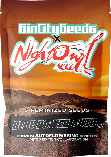 Feminized Seeds – sincityseeds.shop